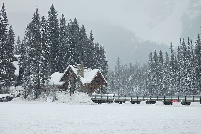 Banff and Yoho Winter Wonderland Private Tour - What to Expect from the Private Tour Experience