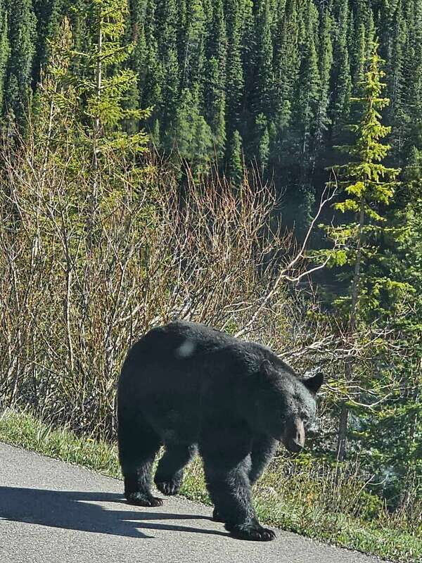 Banff and Yoho Winter Wonderland Private Tour - Comfort and Practicalities