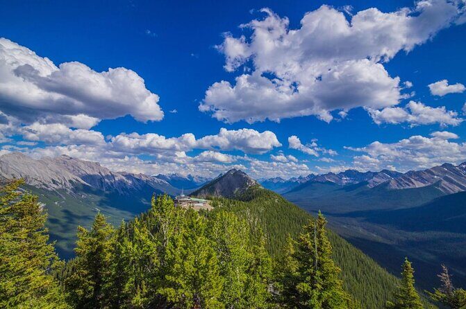 Banff Area & Johnston Canyon 1-Day Tour from Calgary or Banff - What Travelers Say