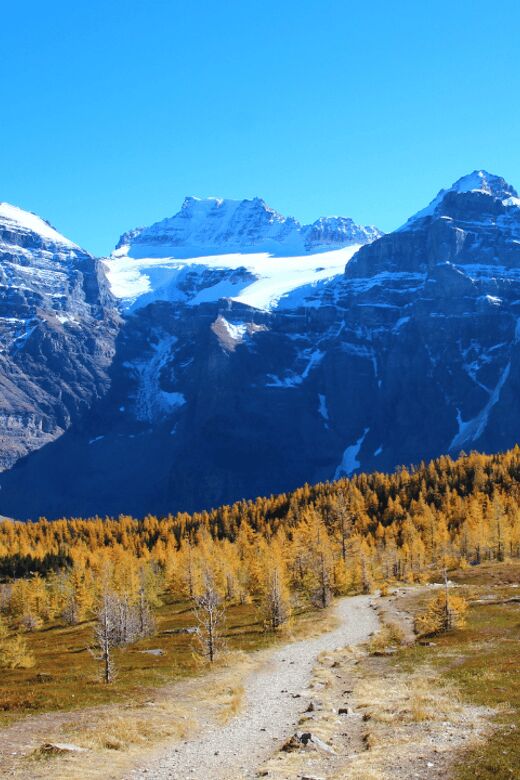 Banff/Canmore: Larch Valley & Moraine Lake - Authentic Insights from Travelers