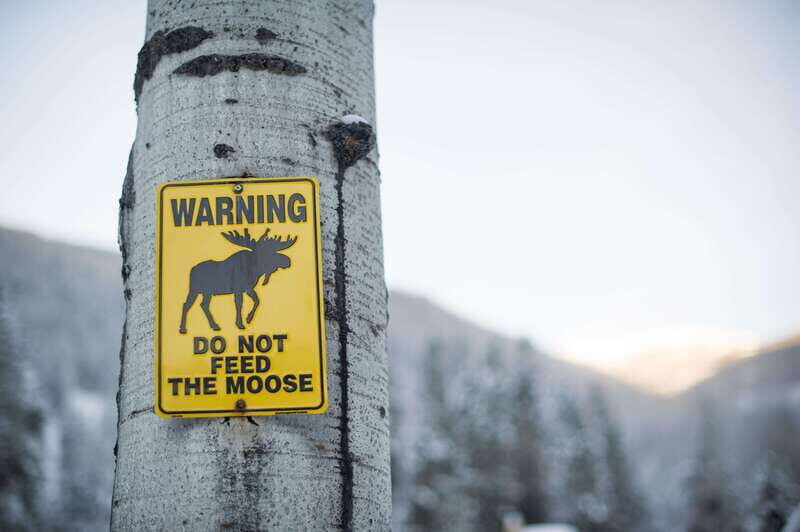 Banff: Explore Winter Nature Walk - Ice Cleats Included 2H - What Makes This Tour Special?
