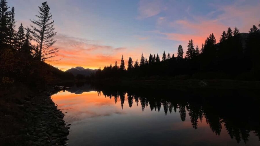 Banff: Grizzly Bear & Nature Walk & Hidden Gem Sunset Tour - Pricing and Value