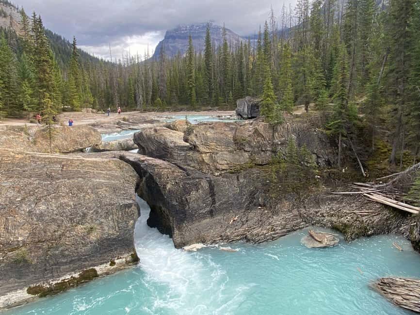 Banff: Lake Louise, Emerald Lake, and Johnston Canyon Tour - What You Can Expect on This Tour