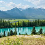 Banff: Lake Louise, Moraine, Emerald Lake & Johnston Canyon - Why You Should Consider This Tour