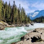 Banff: Moraine Lake, Lake Louise, Emerald Lake and Yoho Trip - Visiting the Iconic Lakes: Lake Louise and Moraine Lake