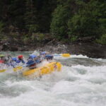 Banff: Morning Whitewater Rafting Tour in Horseshoe Canyon - The Scenic and Wildlife Aspects