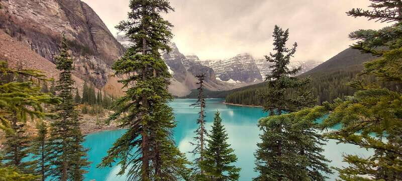 Banff National Park: Full-Day Adventure - Why This Tour Works Well for Different Travelers