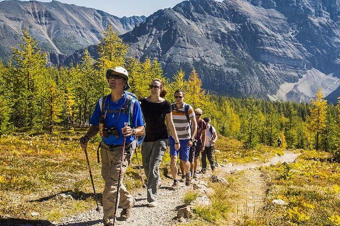 Banff National Park Guided Hike with Lunch - What’s Included and What to Bring