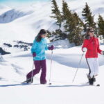 Banff National Park: Sunshine Meadows Snowshoeing Experience - An In-Depth Look at the Sunshine Meadows Snowshoeing Experience