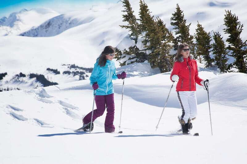 Banff National Park: Sunshine Meadows Snowshoeing Experience - An In-Depth Look at the Sunshine Meadows Snowshoeing Experience