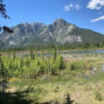 Banff PRIVATE Guided Nature Walk + Transportation - 2.5H - FAQ