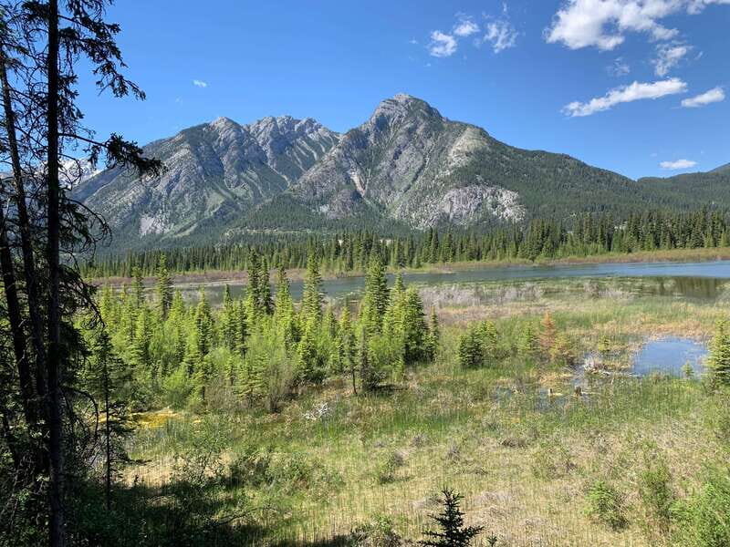 Banff PRIVATE Guided Nature Walk + Transportation - 2.5H - FAQ