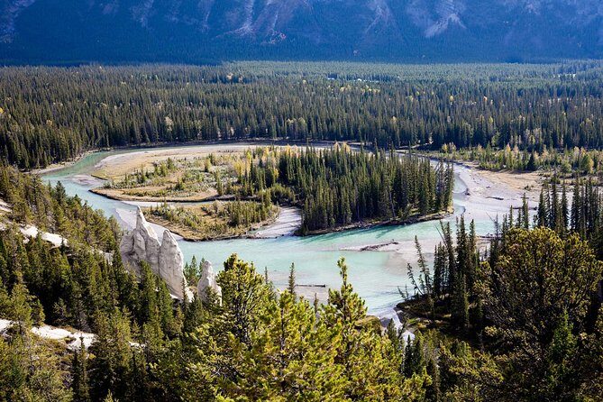 Banff Tour with Gondola & Lake Cruise - roundtrip from Banff - Practical Tips for Travelers