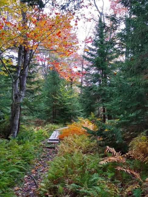 Bar Harbor: Acadia National Park Autumn Leaf Private Tour - An In-Depth Look at the Acadia Autumn Leaf Private Tour