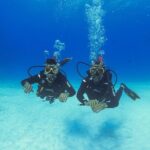 Basic Diver - Bautismo - The Sum Up