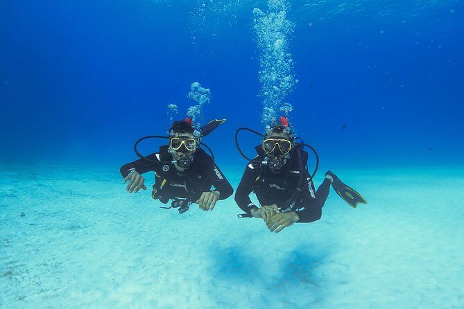 Basic Diver - Bautismo - The Sum Up