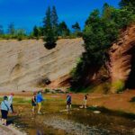 Bay Of Fundy Guided Tour - The Experience: Real Travelers’ Perspectives