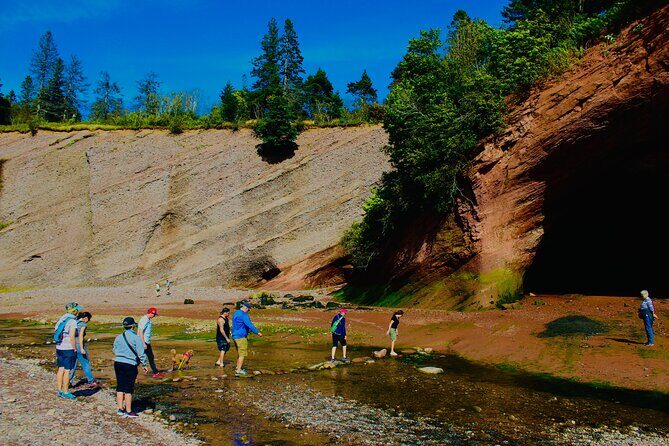 Bay Of Fundy Guided Tour - The Experience: Real Travelers’ Perspectives