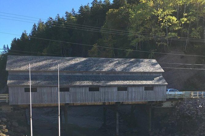 Bay of Fundy Tour by Bus - Who Should Consider This Tour?