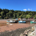 Bay of Fundy Tour by Mini Van - Why This Tour Might Be Perfect for You