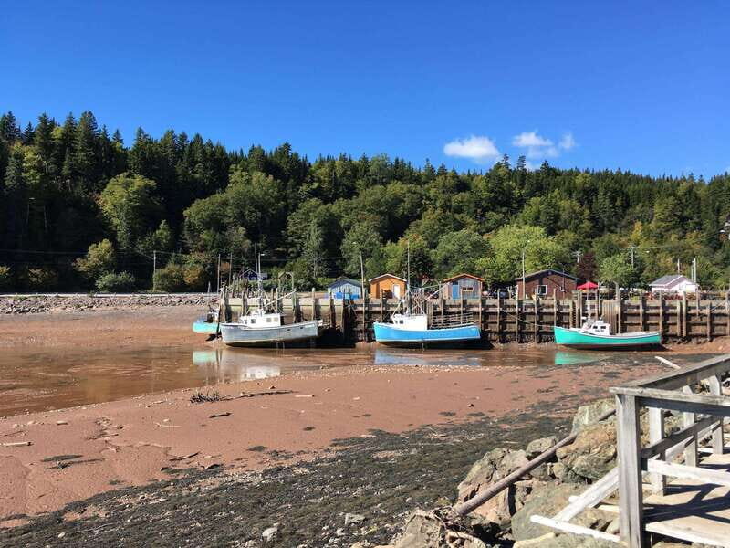 Bay of Fundy Tour by Mini Van - Why This Tour Might Be Perfect for You