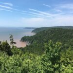 Bay of Fundy Tour in Luxury Car - Practical Considerations and Tips