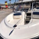 Bayliner Ski Boat - Who Should Book This Experience?