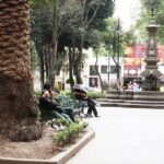 Bazaar Saturday - Convent of Carmen - San Angel - Practical Details and What You Should Know