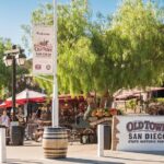 Beach and shopping Tour in San Diego (Private) - Transportation and Comfort