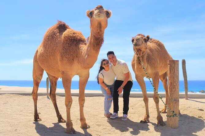 Beach ATV & Camel Ride COMBO in Cabo by Cactus Tours Park - In-Depth Look at the Experience