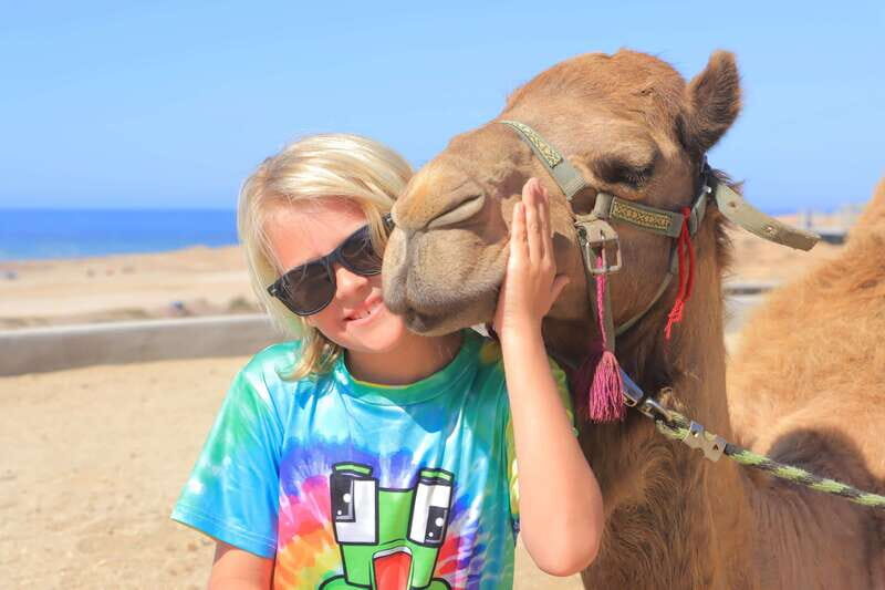 Beach Camel Ride & Encounter in Cabo by Cactus tours park - The Authenticity & Real-World Insights