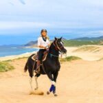 Beach Camel Ride & Sky Bike in Cabo by Cactus Tours Park - The Detailed Itinerary: What’s Really in Store