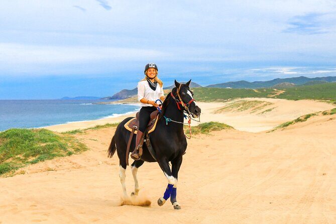 Beach Camel Ride & Sky Bike in Cabo by Cactus Tours Park - The Detailed Itinerary: What’s Really in Store