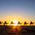 Beach CAN-AM SXS X3 & Camel Ride in Cabo by Cactus Tours Park - Why This Tour Offers Great Value