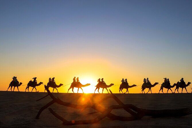 Beach CAN-AM SXS X3 & Camel Ride in Cabo by Cactus Tours Park - Why This Tour Offers Great Value