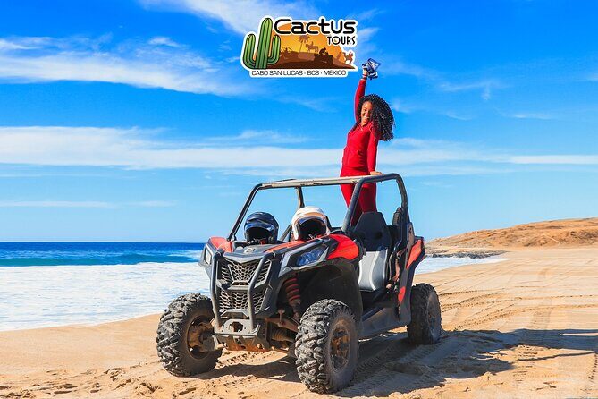Beach & Desert UTV Tour in Cabo - Visit to the Herpetarium and Safety Briefing