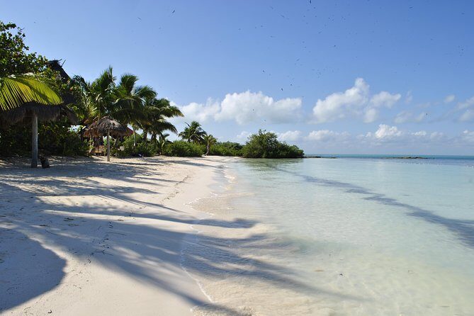 Beach Escape: Isla Contoy and Isla Mujeres with Snorkeling. - The Sum Up