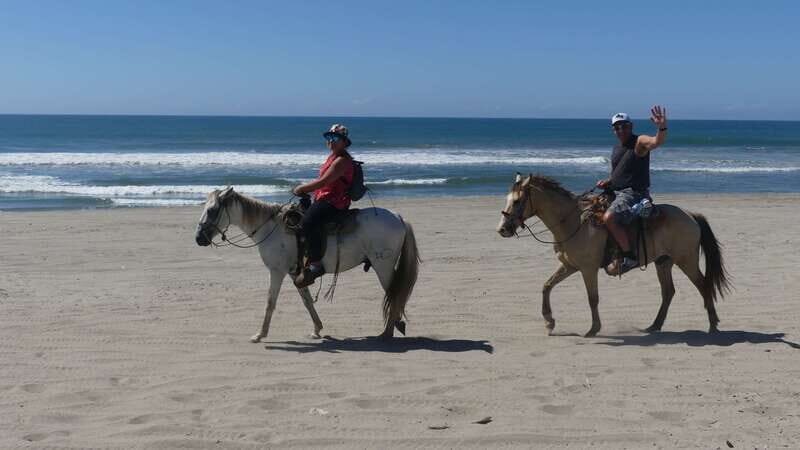 .Beach Horse Riding Turtle Release Crocodile Farm Experience - Who Will Love This Tour?