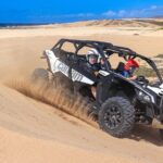 Beach UTV Adventure with Free Camel & Horseback Ride - The Value of This Tour
