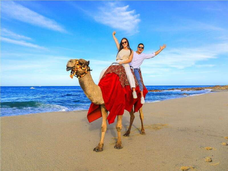 Beach UTV & Camel Ride COMBO in Cabo by Cactus Tours Park - Analyzing the Value