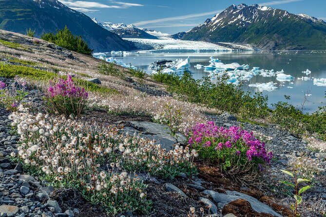 Bear Glacier Helicopter Tour with Landing - The Itinerary in Detail