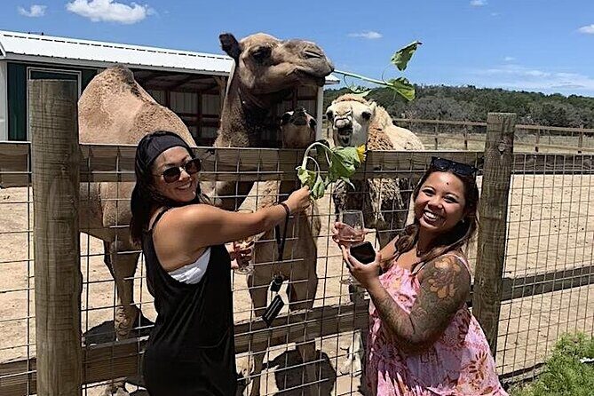 Become a Ranch Hand for a Day in Fredericksburg - The Value of the Experience