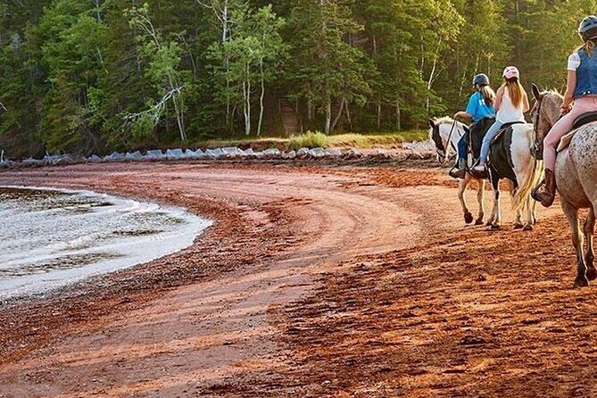Beginner Brudenell Beach Trail Ride - FAQ
