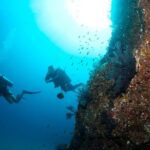 Beginner Scuba Diving in Cabo San Lucas - What Makes This Tour a Good Deal?