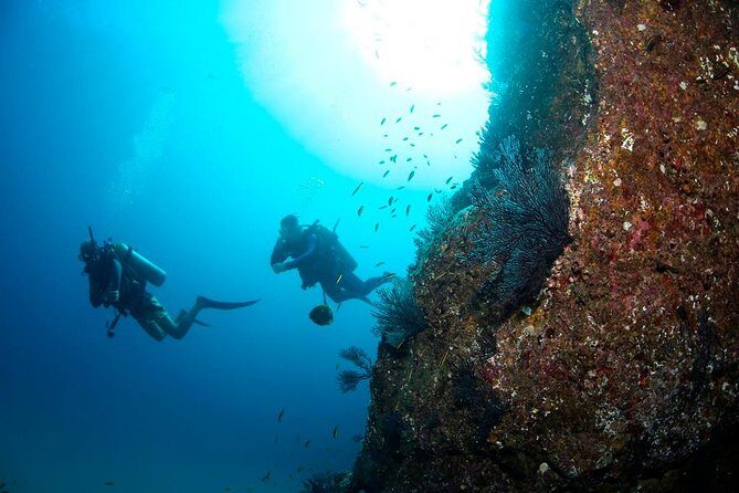 Beginner Scuba Diving in Cabo San Lucas - What Makes This Tour a Good Deal?