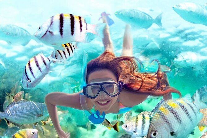 Best half-day snorkel tour: visit Kaan Luum, Yalku & Cenote - Yalku Inlet: Fish and Coral Galore