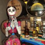 Best of Cabo Highlights 6x1 - What Real Travelers Say