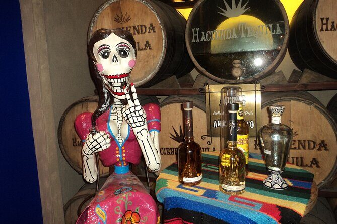 Best of Cabo Highlights 6x1 - What Real Travelers Say