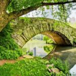 Best of Central Park: Top-Rated Pedicab Tour NYC - Why This Tour Is a Solid Choice