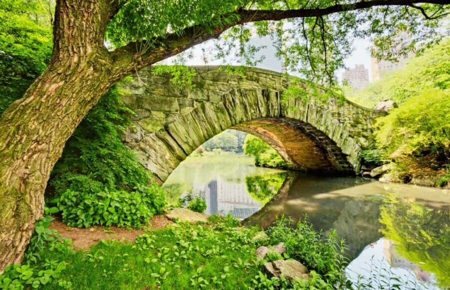 Best of Central Park: Top-Rated Pedicab Tour NYC - Why This Tour Is a Solid Choice